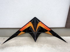 スポーツカイト/flyingwings kites /duende/prediction/silver fox pro/デビルクワッド/insync